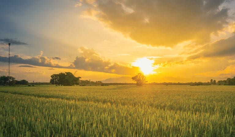 Subdivision Lots for Sale | New Home Packages | Demlang Home Builders